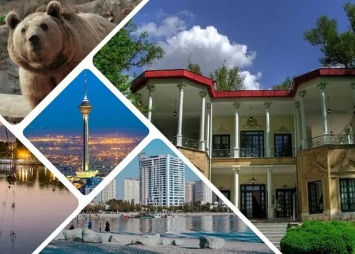 هیومن پارک (پارک اعضای بدن تهران) | اطلاعات بازدید + عکس